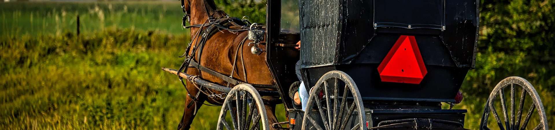 Assista: carroça a cavalo Amish é flagrada fazendo drifting em estrada ...