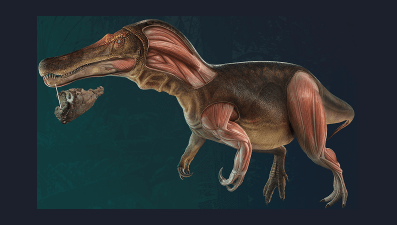 Nova espécie de dinossauro é descoberta em Portugal - Olhar Digital