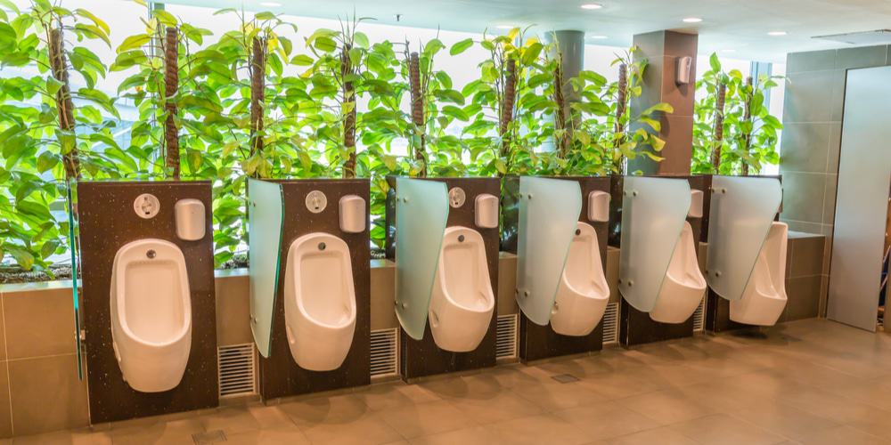 Como a urina humana pode ajudar a alimentar o mundo - Olhar Digital