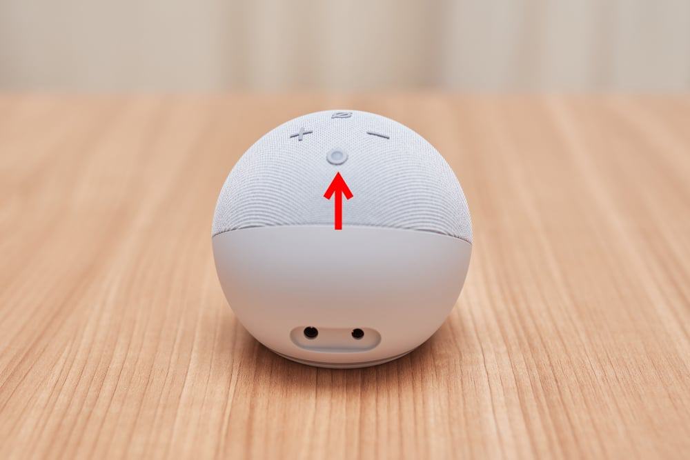 How To Reset Alexa To Factory Settings Run Down Bulletin How To Reset Alexa To Factory Settings Run Down Bulletin