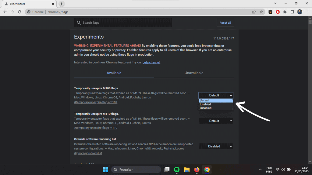 habilitar chrome flags, chrome flags disable – NMVCP