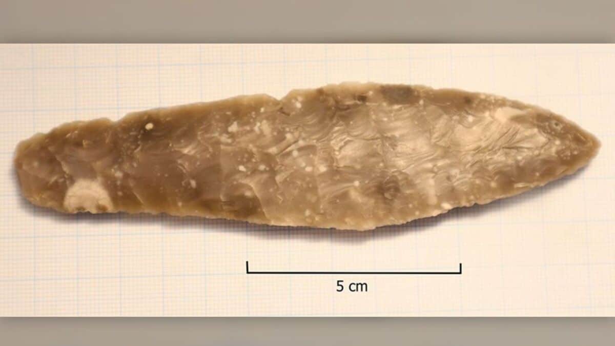 Adaga de 3700 anos é encontrada por criança - Olhar Digital