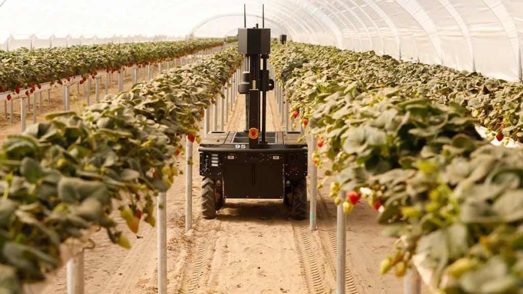 Robôs agrícolas devem compensar custo por mão de obra humana