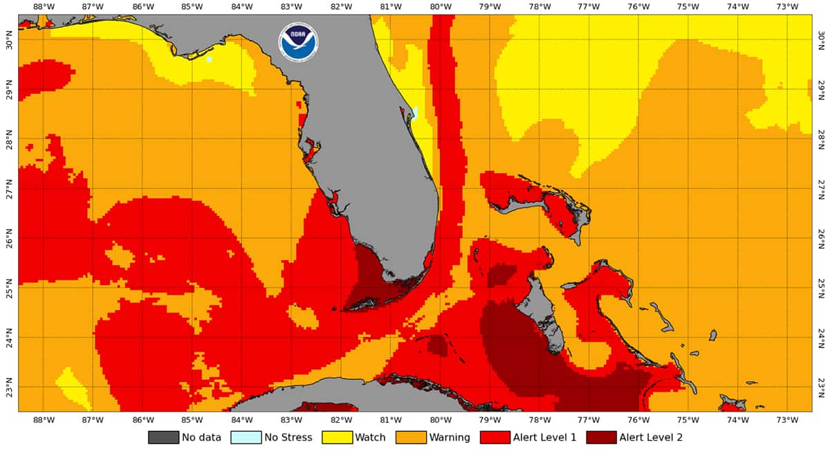Calor extremo: mar da Flórida bate recorde de alta temperatura