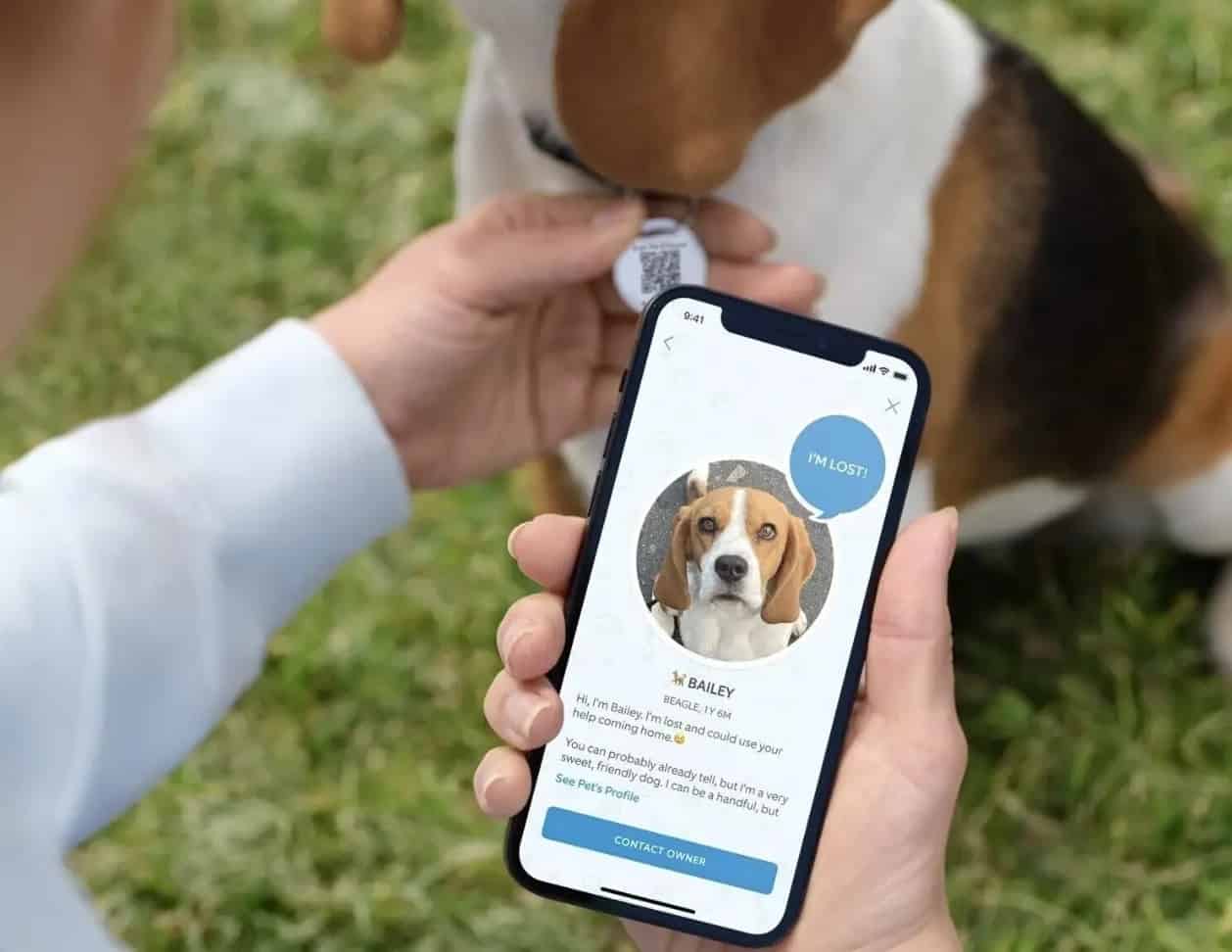 Novo acessório inteligente ajuda e encontrar pets perdidos