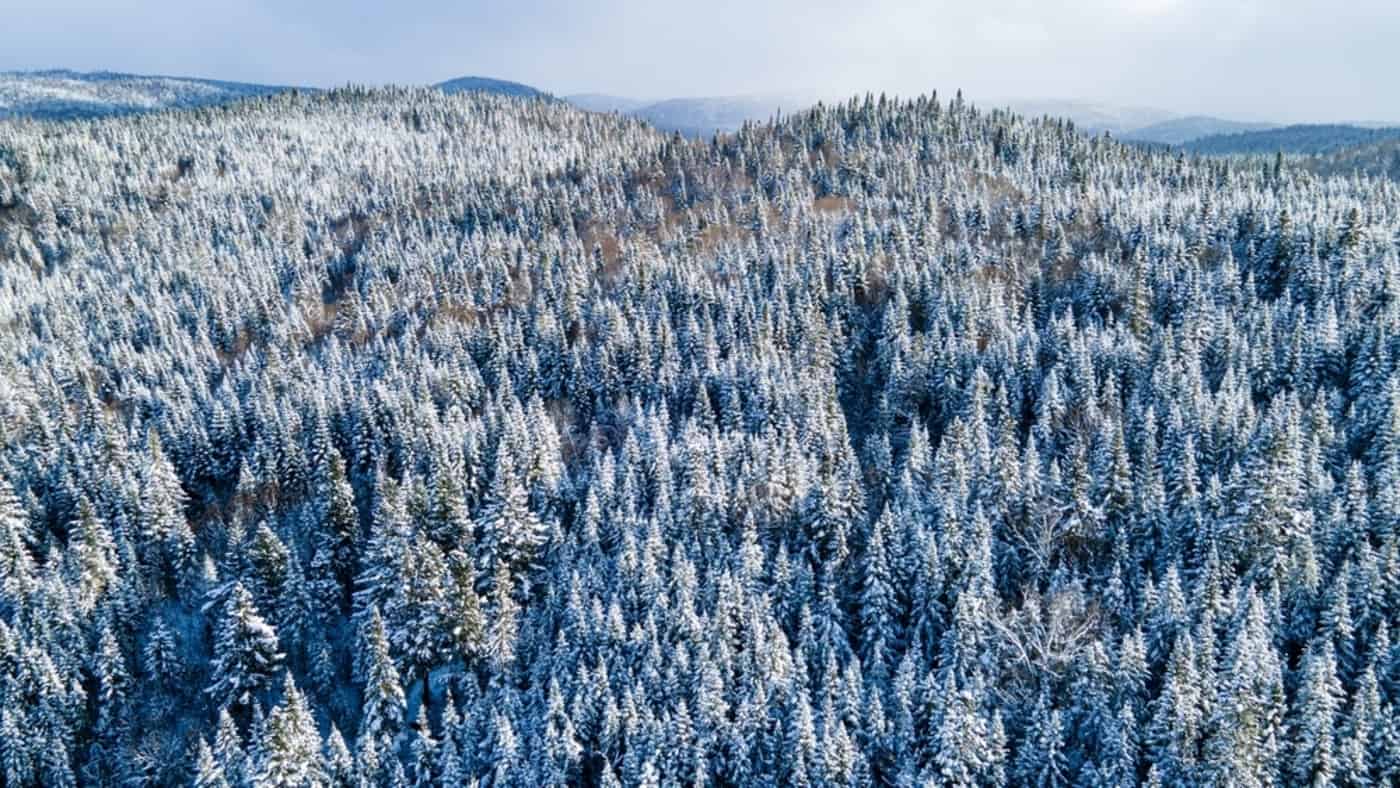 O que é, como se forma e qual é o tamanho de um floco de neve?